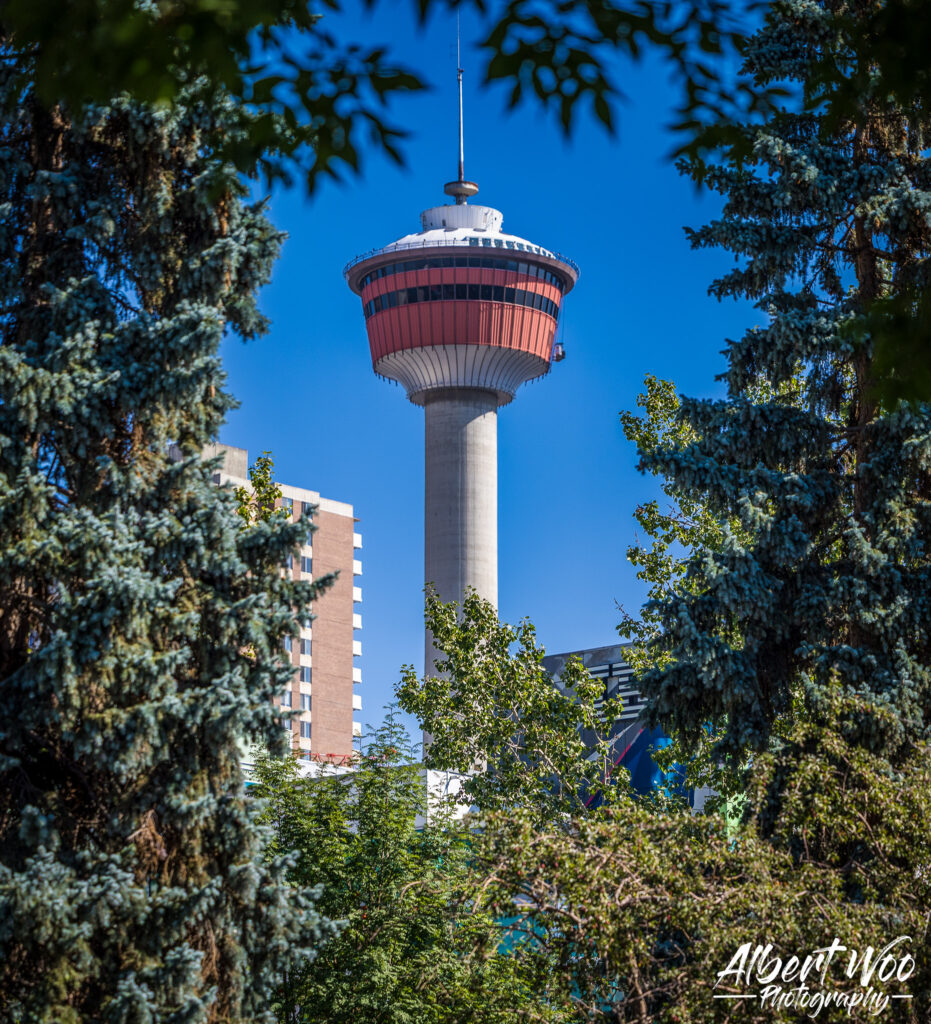 Calgary International Speech Contest – Calgary Floating Lanterns For Peace